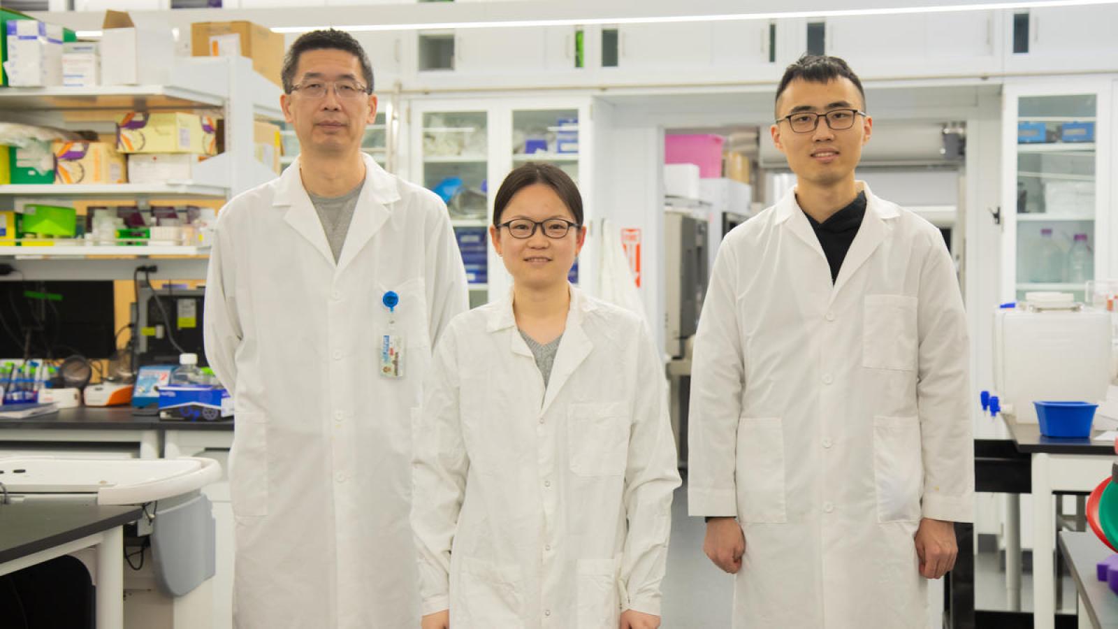 Tong, Yang and Yi winners in NIH TARGETED Challenge | Stanley and Karen Pigman College of ...